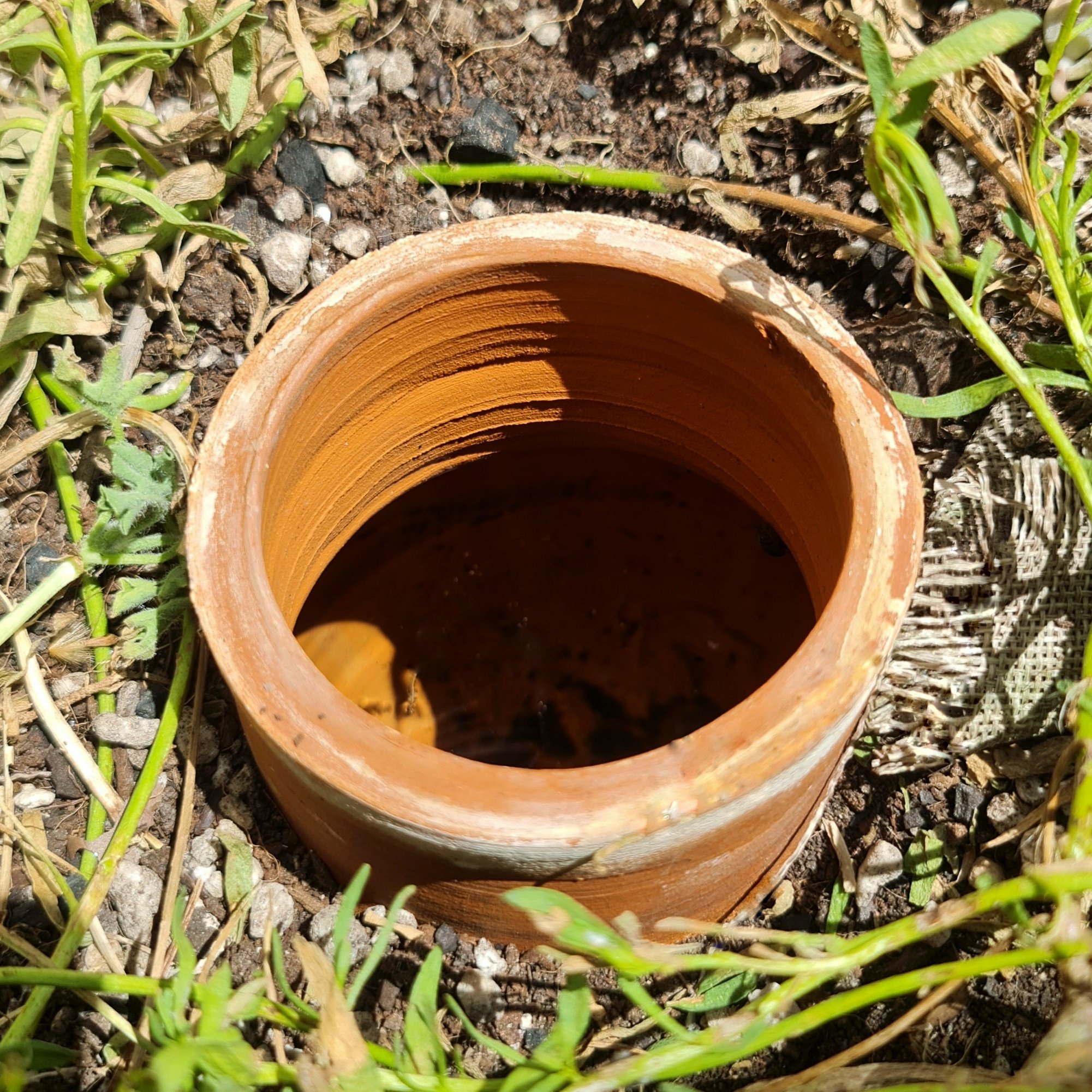 Ollas – Ligaya Garden